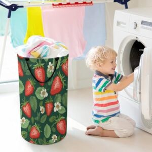 Laundry Basket Hamper Waterproof Dirty Clothes Hamper Fresh Strawberries And Leaves Collapsible Washing Bin Clothes Bag with Handles Freestanding Laundry Hamper for Bathroom Bedroom Dorm Travel