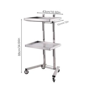 Stainless Steel Salon Cart,Stainless Steel Rolling Cart | Modern Simple Pallet Design Utility Cart on Wheels for Living Room, Bathroom, Kitchen, Bedroom