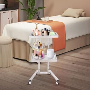 Stainless Steel Salon Cart,Stainless Steel Rolling Cart | Modern Simple Pallet Design Utility Cart on Wheels for Living Room, Bathroom, Kitchen, Bedroom