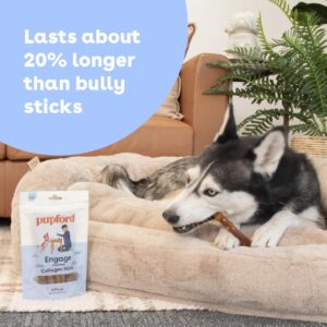 Pupford Collagen Stick Chews for Dogs & Puppies, All Natural, Healthy, Bully Stick and Bone Alternative Treat (6", 10 Pack)