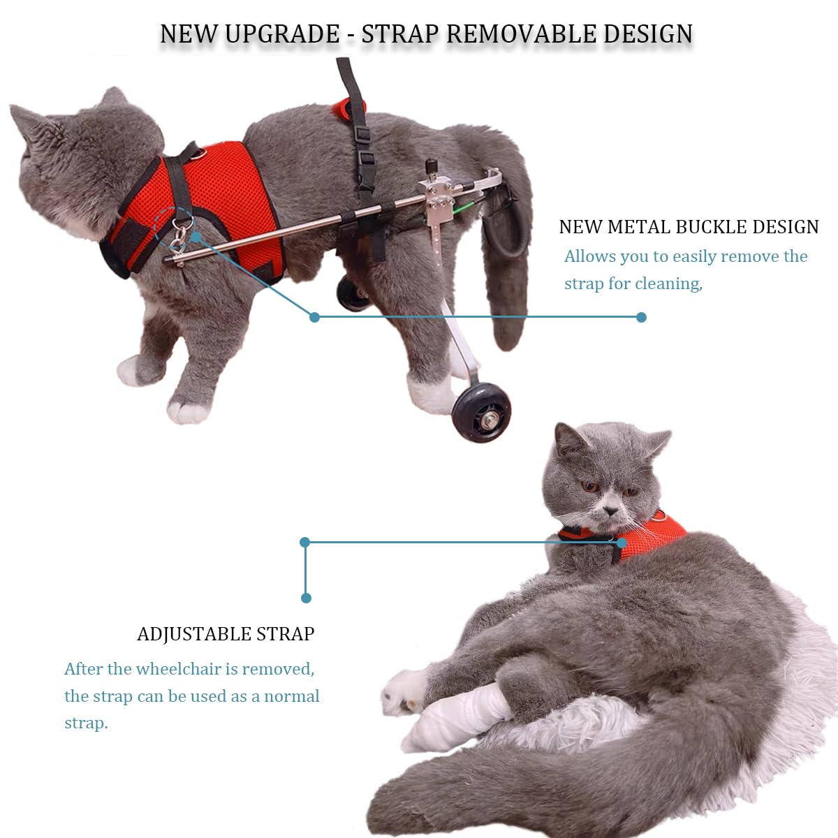 Cat Wheelchair, Newly Upgraded Pet Wheelchair, Removable Harness Design, Lightweight Cat Wheelchair for Back Legs of Doggie, Cats, Rabbits (M)