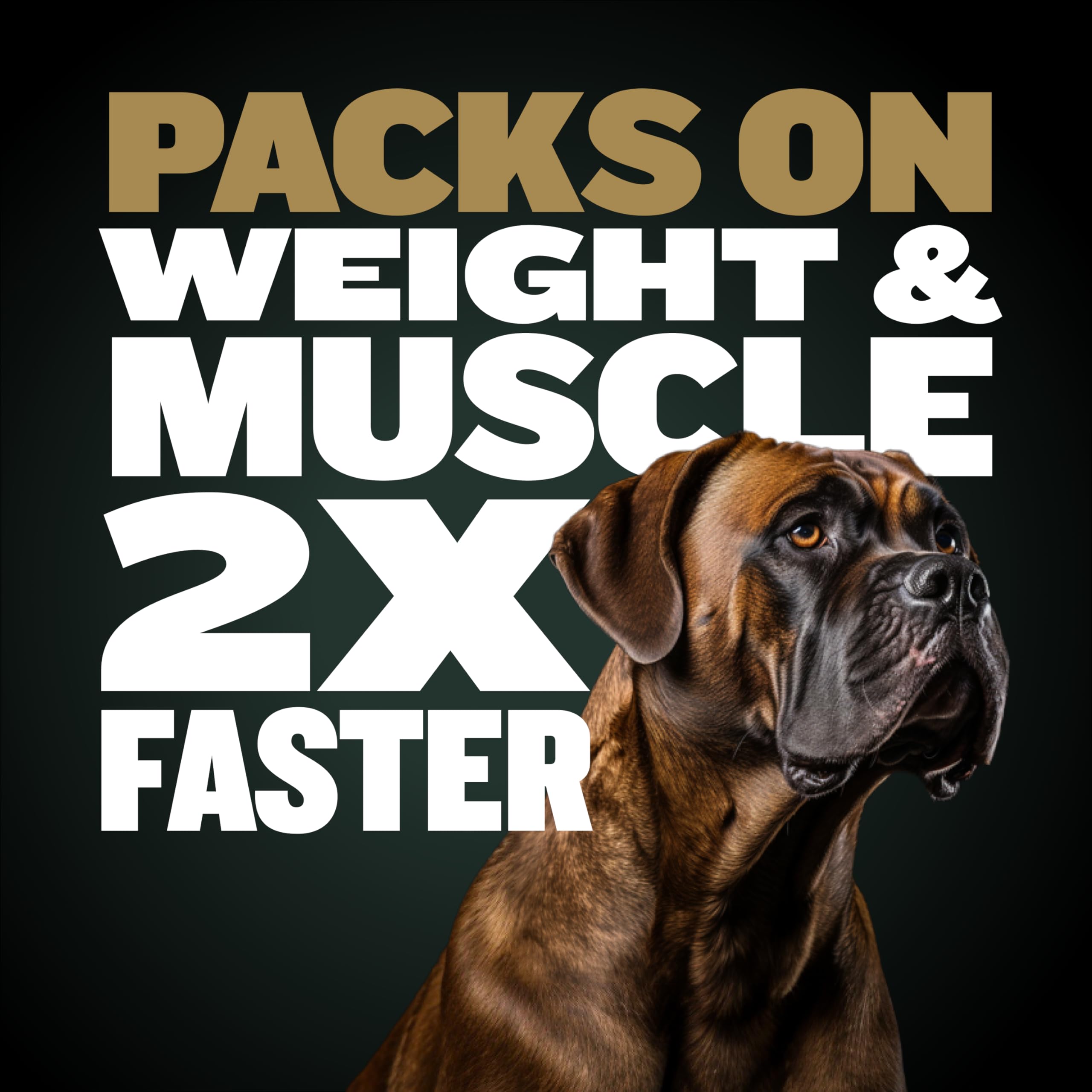 Bully Max 11-in-1 Muscle Gain Power Chews & 9-in-1 Total Health Chews - High Protein Muscle Builder & Multivitamin Soft Chews for Puppies & Adult Dogs - Support for Muscle, Immunity, Overall Health