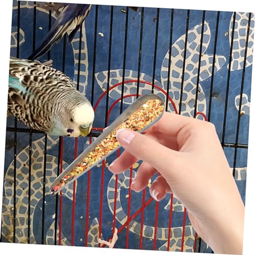 Levemolo 3pcs Feeder Birdemic Parrot Feeding Accessory Feed Scoop Bird Food Added Pet Feeding Food Shovel Birds Food Shovel Bird Supplies Birds Food Spoons Bird Food Scoop Stainless Steel