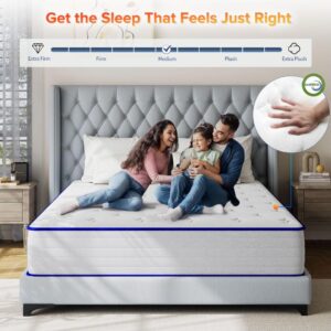 Erubry Queen Mattress, 12 Inch Medium Firm Hybrid Queen Mattress with Individual Pocketed Springs& Gel Memory Foam, Enhanced Edge Support, Motion Isolation, Queen Mattress in a Box