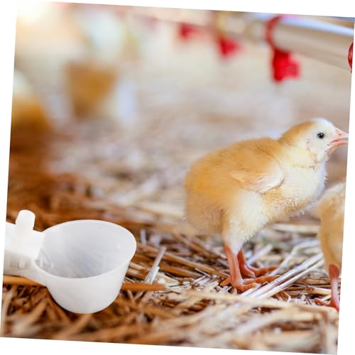 FONDOTIN 10 Sets Pigeon Drinker Poultry Waterer Food Serving Tray Bird Cage Chicken Drinking Tool Clear Drinking Glasses Pet Drinking Holder Bird Supplies Water Birdfeeder White Plastic