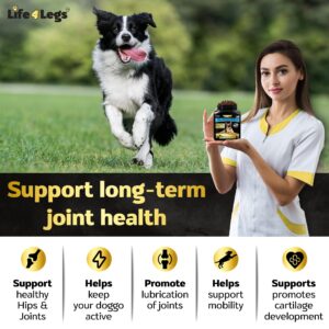 Life4Legs Hip and Joint Supplement and 23-in-1 Multivitamin Chews Bundle for Small, Medium and Large Dogs - 180 Count