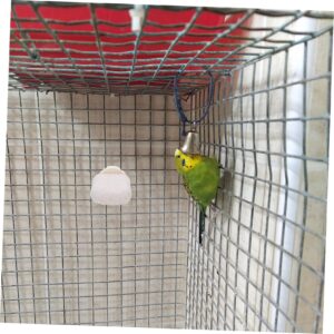 CORHAD 2pcs Parrot Standing Pole Parrot Perch Cockatiel Toys Parakeet Perches for Cage Bird Cage Toys Perches for Bird Cages Parrot Cage Supply Bird Perches Bird Toy Light Grey Pumice