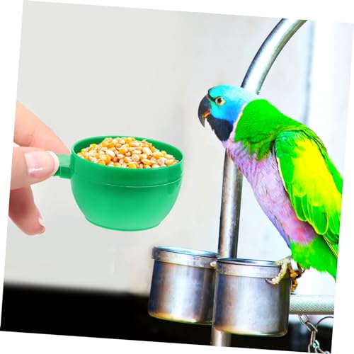 Gogogmee 36pcs Bird Cage Feeder Parrot Food Organizer Bird Feeder Bowl Bird Feeding Dish Bird Feeder Hanging Parrot Food Cup Parrot Cage Feeder Indoor Bird Feeder Pet Supplies Plastic Green