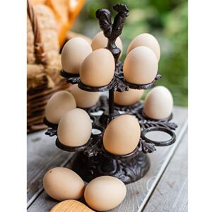 Aurgiarme Holder Dispenser Storage Rack Metal Storage Holder Display Rack for Kitchen Countertop 12 Eggs Holding Capacity