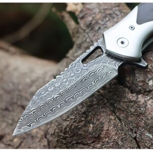 Damascus Pocket Knife, 3.54" Damascus Steel Blade Folding Knives with Wood Handle and Clip, Gift for Camping Collection