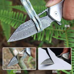 Damascus Pocket Knife, 3.54" Damascus Steel Blade Folding Knives with Wood Handle and Clip, Gift for Camping Collection