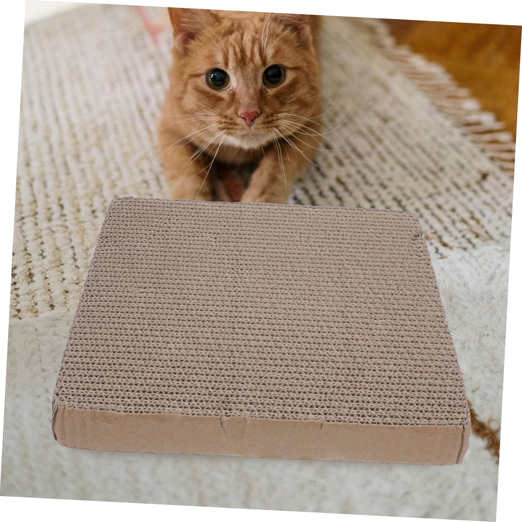 VILLFUL Cat Scratching Post Cat Scratching Board Floor Supply Replaceable Scratching Board Household Kitten Scratcher Replacement Funny Scratch Pad Cat Scratcher Replacement Paper