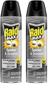 raid spider and scorpion killer, kills spiders, scorpions, roaches, ants, waterbugs, earwigs, 12 oz (pack of 2)