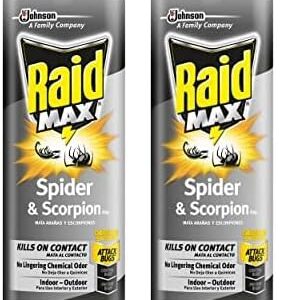 Raid Spider and Scorpion Killer, Kills Spiders, Scorpions, roaches, Ants, Waterbugs, earwigs, 12 Oz (Pack of 2)