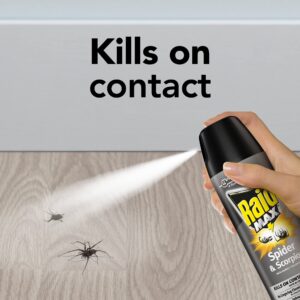 Raid Spider and Scorpion Killer, Kills Spiders, Scorpions, roaches, Ants, Waterbugs, earwigs, 12 Oz (Pack of 2)