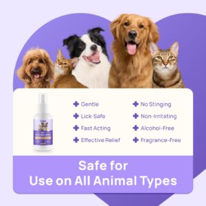 HICC PET Hot Spot Itch Relief Spray for Dogs, Cats - Pet Treatment Spray for Itchy, Irritated Skin, Allergy, Rashes - Lick Safe and Painless Wound Care Spray for All Animals (3.4 Fl Oz)