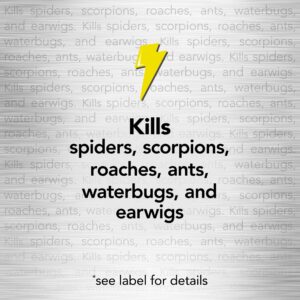 Raid Spider and Scorpion Killer, Kills Spiders, Scorpions, roaches, Ants, Waterbugs, earwigs, 12 Oz (Pack of 2)