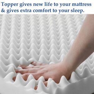 Spring Coil, 1-Inch Convoluted High Density Foam Mattress Topper, CertiPUR-US Certified for Superior Comfort and Support, Twin, White