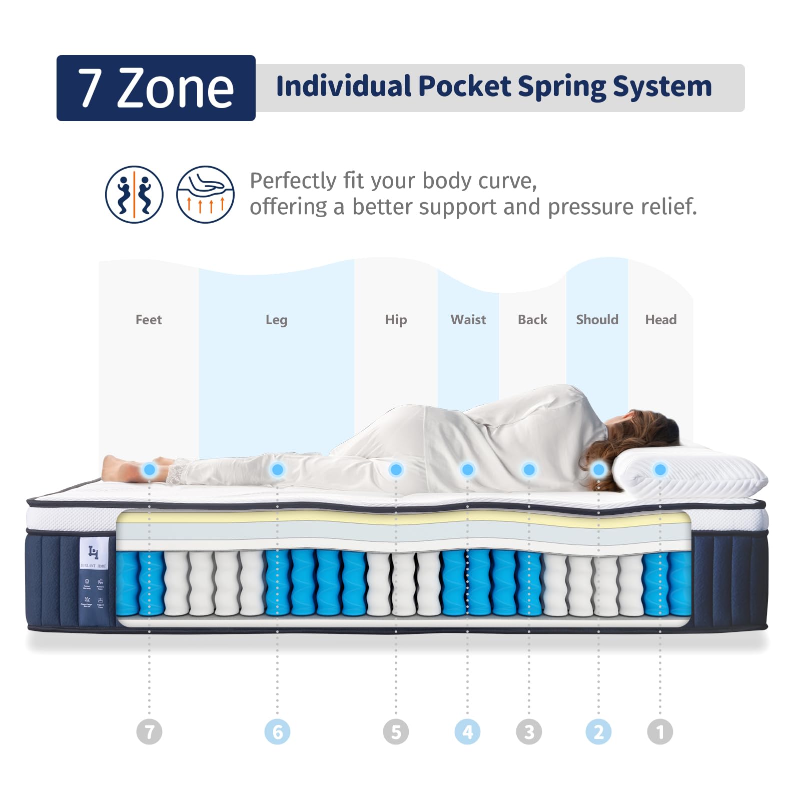 Twin XL Mattress, DIGLANT 14 Inch Hybrid Mattress, Medium Plush Feel Memory Foam Euro Top Mattress in a Box and Pocket Springs, CertiPUR-US Certified, Fiberglass Free, Balance Support & Pain-Relief