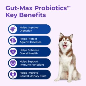 PAWLABS Gut-Max Probiotic Chews - Patented BC30™ Bacillus Coagulans - Natural, Vet Formulated Digestive & Immune Support - Relieves Diarrhea, Constipation, Bloating - Duck Flavor - 90 Soft Chews