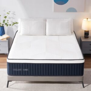 twin mattress, diglant 14 inch euro top hybrid memory foam mattress with pocket springs, medium plush feel twin size mattress in a box, supportive & pressure relief, certipur-us certified, 39"*75"