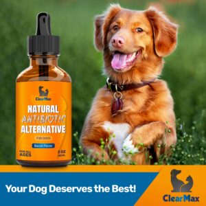 Natural Antibiotics for Dogs ◆ Dog Antibiotic ◆ Antibiotics for Dogs ◆ Dog Multivitamin ◆ Pet Antibiotic ◆ Dog Antibiotics ◆ Antibiotic for Dogs ◆ 2 Oz