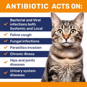 Antibiotics for Cats ◆ Cat Antibiotic ◆ Natural Antibiotics for Cats ◆ Cat Antibiotics ◆ Antibiotic for Cats ◆ Cat Multivitamin ◆ Pet Antibiotic ◆ 2 Oz