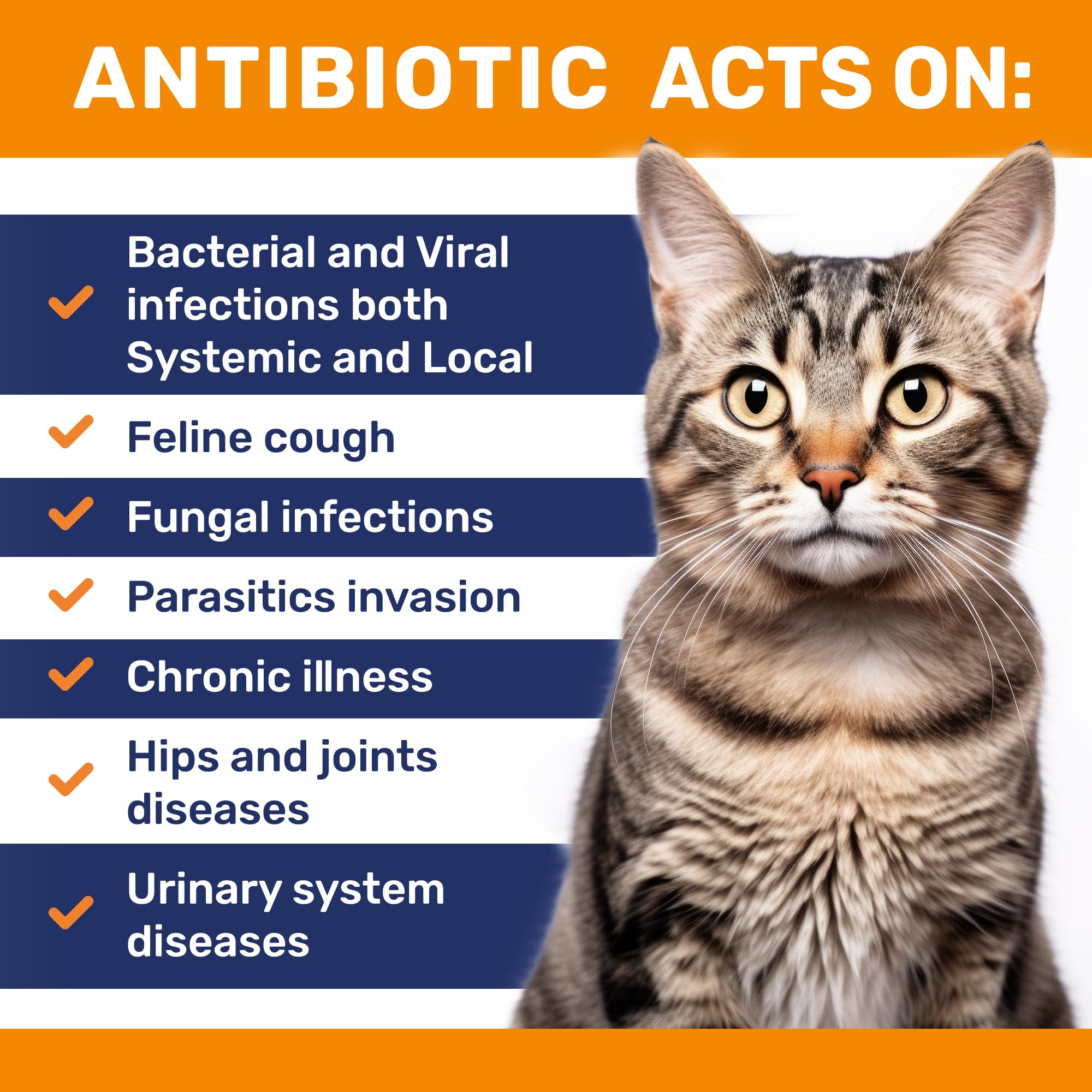 Antibiotics for Cats ◆ Cat Antibiotic ◆ Natural Antibiotics for Cats ◆ Cat Antibiotics ◆ Antibiotic for Cats ◆ Cat Multivitamin ◆ Pet Antibiotic ◆ 2 Oz