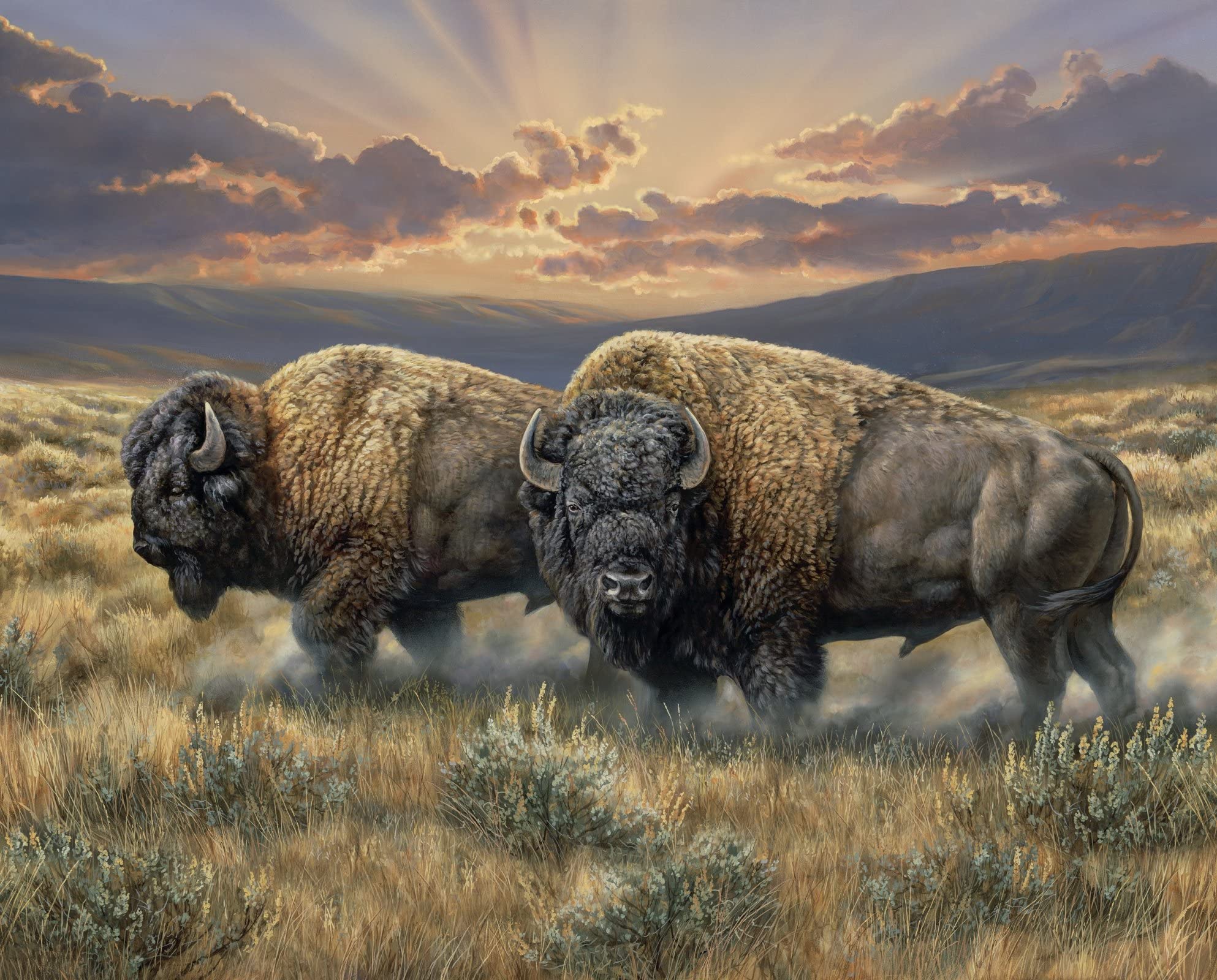 North American Bison Buffalo On The Dusty Plains Cotton Panel 36 X 44 Inches David Textiles WW3321