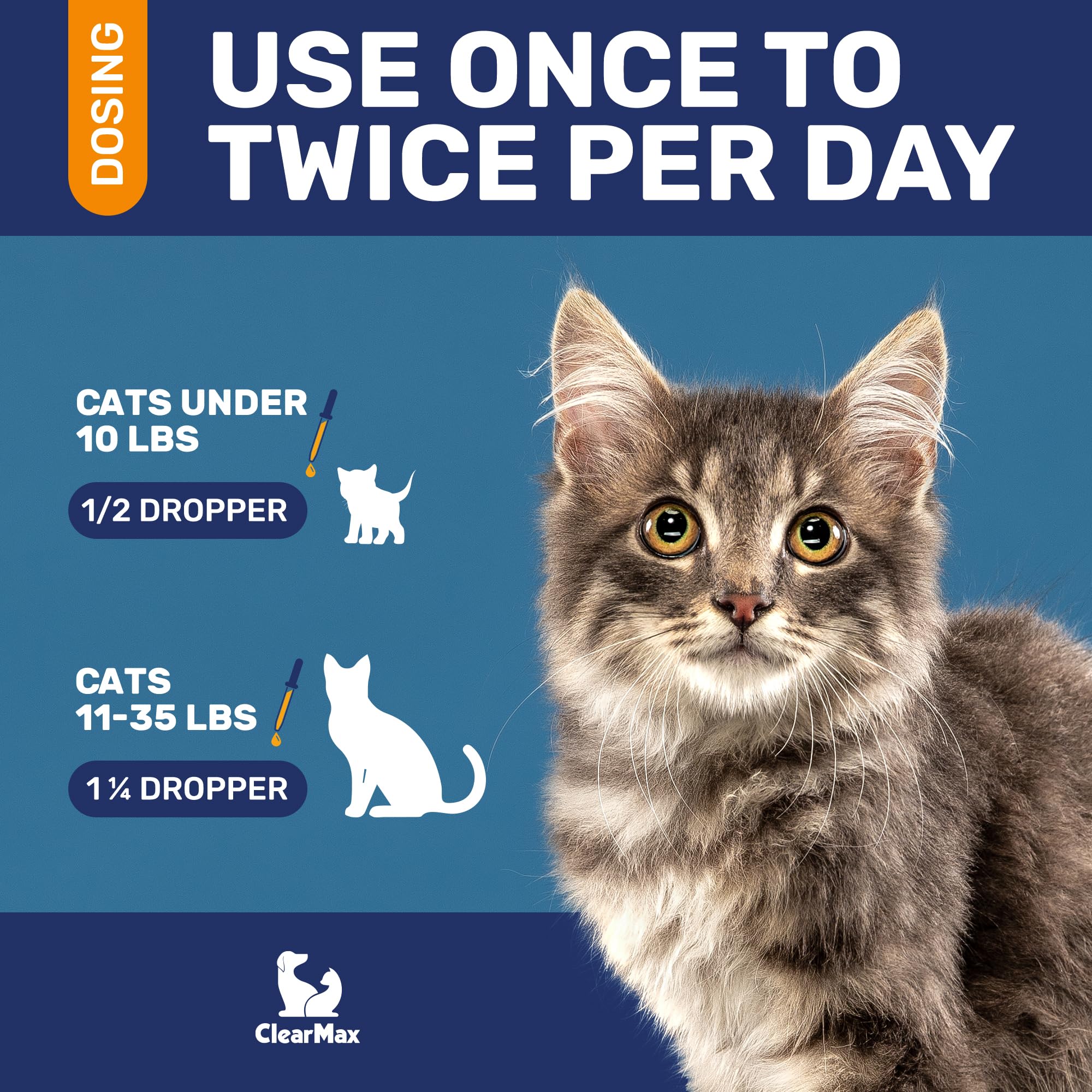 Antibiotics for Cats ◆ Cat Antibiotic ◆ Natural Antibiotics for Cats ◆ Cat Antibiotics ◆ Antibiotic for Cats ◆ Cat Multivitamin ◆ Pet Antibiotic ◆ 2 Oz