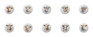 cows and flowers nursery art cute cow - decorative ceramic dresser drawer pulls cabinet cupboard knobs (set of 10)