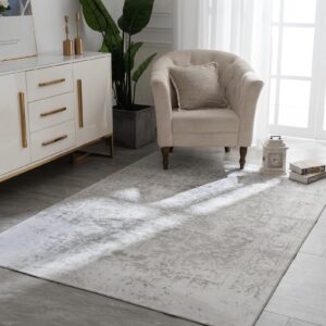 Auemtyn Area Rug, 8x10 Washable Rug for Living Room, Non-Shedding Vintage Rug with Non-Slip Backing, Stain Resistant Distressed Farmhouse Rug for Bedroom(8'x10',White/Silver)