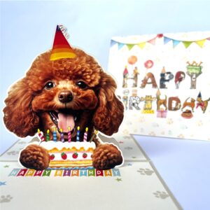 crazytops poodle dog 3d birthday funny pop up cards, poodle funny and surprise happy birthday lovely cards