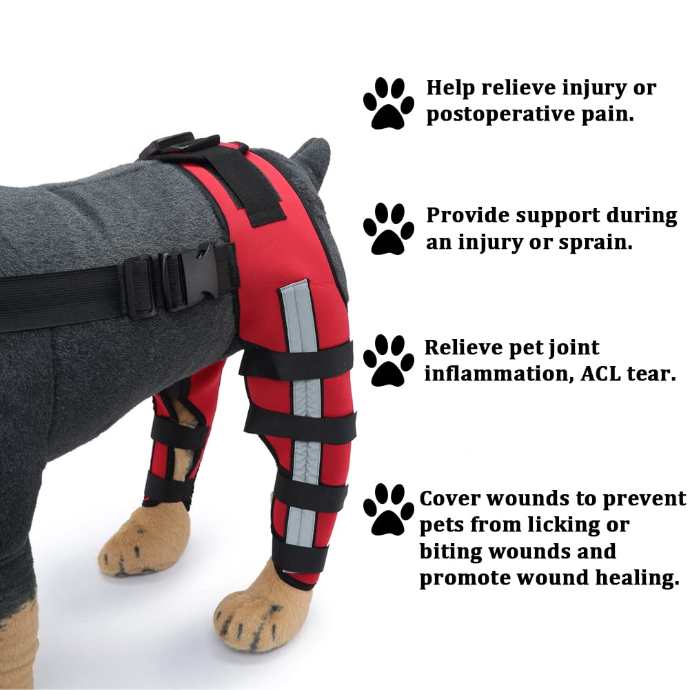 Dog Knee Brace Adjustable Dog Double Rear Leg Brace with Metal Hinged Flexible Support and Reflective Seat Belts Dog Acl Brace Hind Leg Red (M)