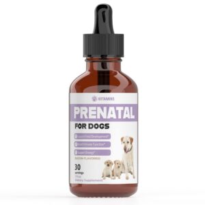 dog prenatal vitamins | prenatal vitamins for dogs | includes vitamin b complex & vitamin c | dog essentials | whelping supplies | prenatal dog vitamins | prenatal for dogs | 1 pack: 30 servings