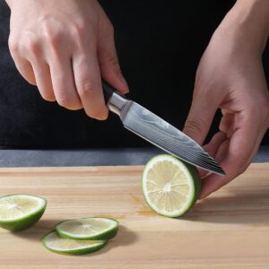 ANBFF Paring Knife, 3.5'' Fruit Knife and 5'' Chef Knife Set, Sharp High Carbon Stainless Steel Small Kitchen Utility Knives, Forged Peeling and Vegetable Knife with Gift Box