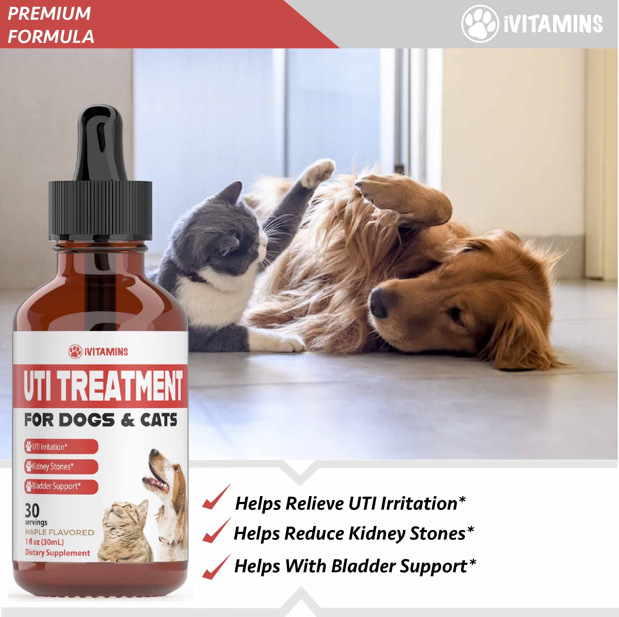 Dog UTI Treatment | Cat UTI Medicine | Cat UTI Remedy | Cranberry Supplement for Dogs | Pumpkin for Cats | Dog UTI | Cat UTI | Cranberry for Dogs | Cat Urinary Tract Infection Treatment | 1 fl oz