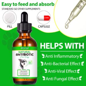 Antibiotics for Dogs, Natural Dog Antibiotics Supports Dog Allergy and Itch Relief, Dog Supplies Antibiotics, Dog Multivitamin for Pets, Bacon Flavor - 60 ml / 2 Fl Oz