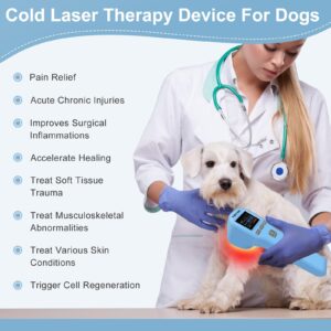 Kdvioo Cold Laser Therapy Device, Portable Red Light Therapy with 4pcs 808nm and 16pcs 650nm, Near Infrared Laser Therapy Relieve Pain and Accelerates Wound Healing for Pets Dogs Horse Cats (Blue)