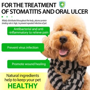 Antibiotics for Dogs, Natural Dog Antibiotics Supports Dog Allergy and Itch Relief, Dog Supplies Antibiotics, Dog Multivitamin for Pets, Bacon Flavor - 60 ml / 2 Fl Oz