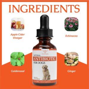 Natural Antibiotics for Dogs | Dog Antibiotics | Dog Ear Infection Treatment | Dog Itch Relief | Yeast Infection Treatment for Dogs | Dog Antibiotic | Pet Antibiotics | Antibiotic for Dogs | 1 oz