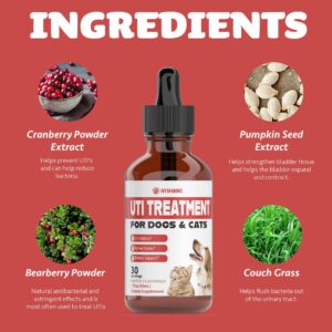 Dog UTI Treatment | Cat UTI Medicine | Cat UTI Remedy | Cranberry Supplement for Dogs | Pumpkin for Cats | Dog UTI | Cat UTI | Cranberry for Dogs | Cat Urinary Tract Infection Treatment | 1 fl oz