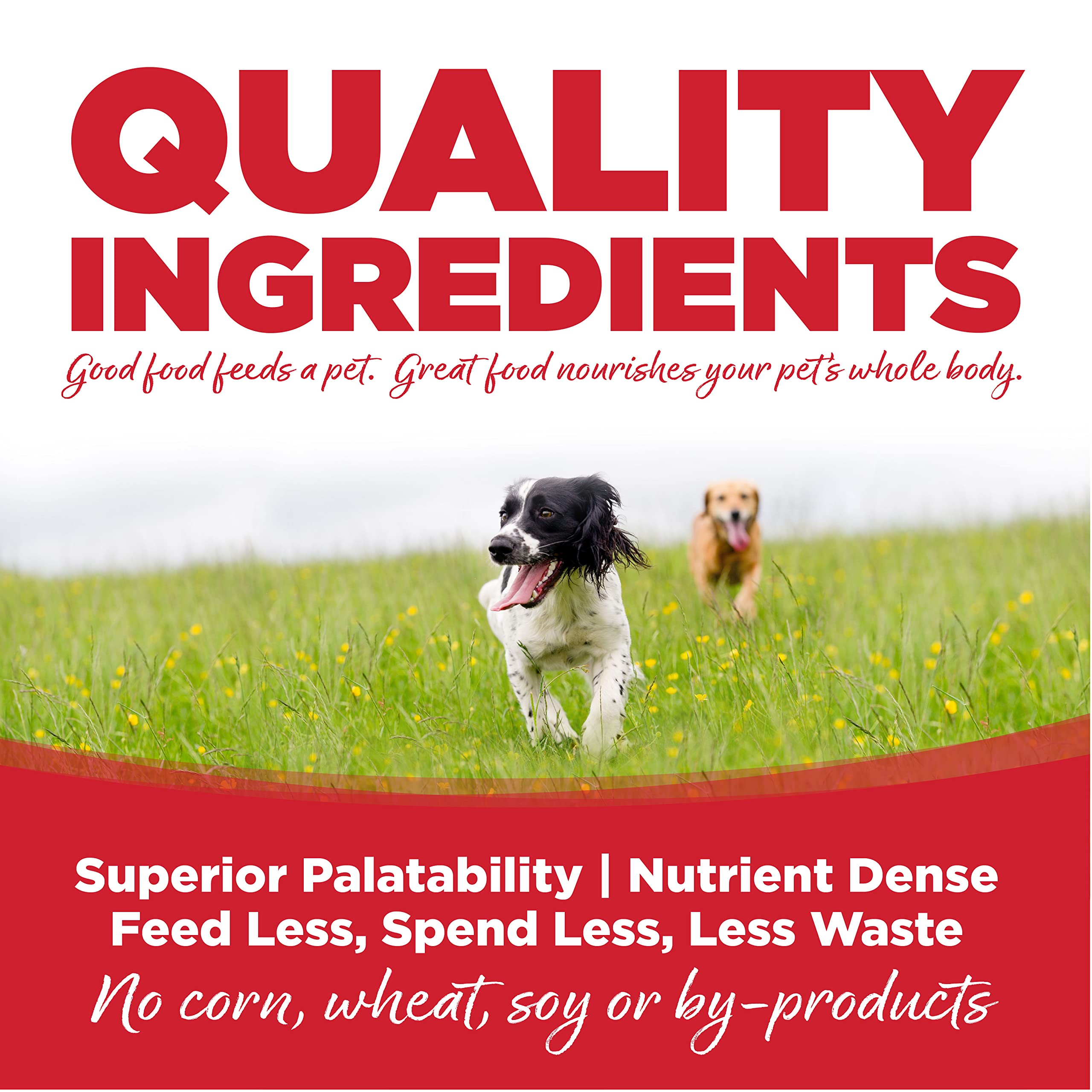 NutriSource Dry Dog Food for Large Breeds, Beef and Rice, 26LB