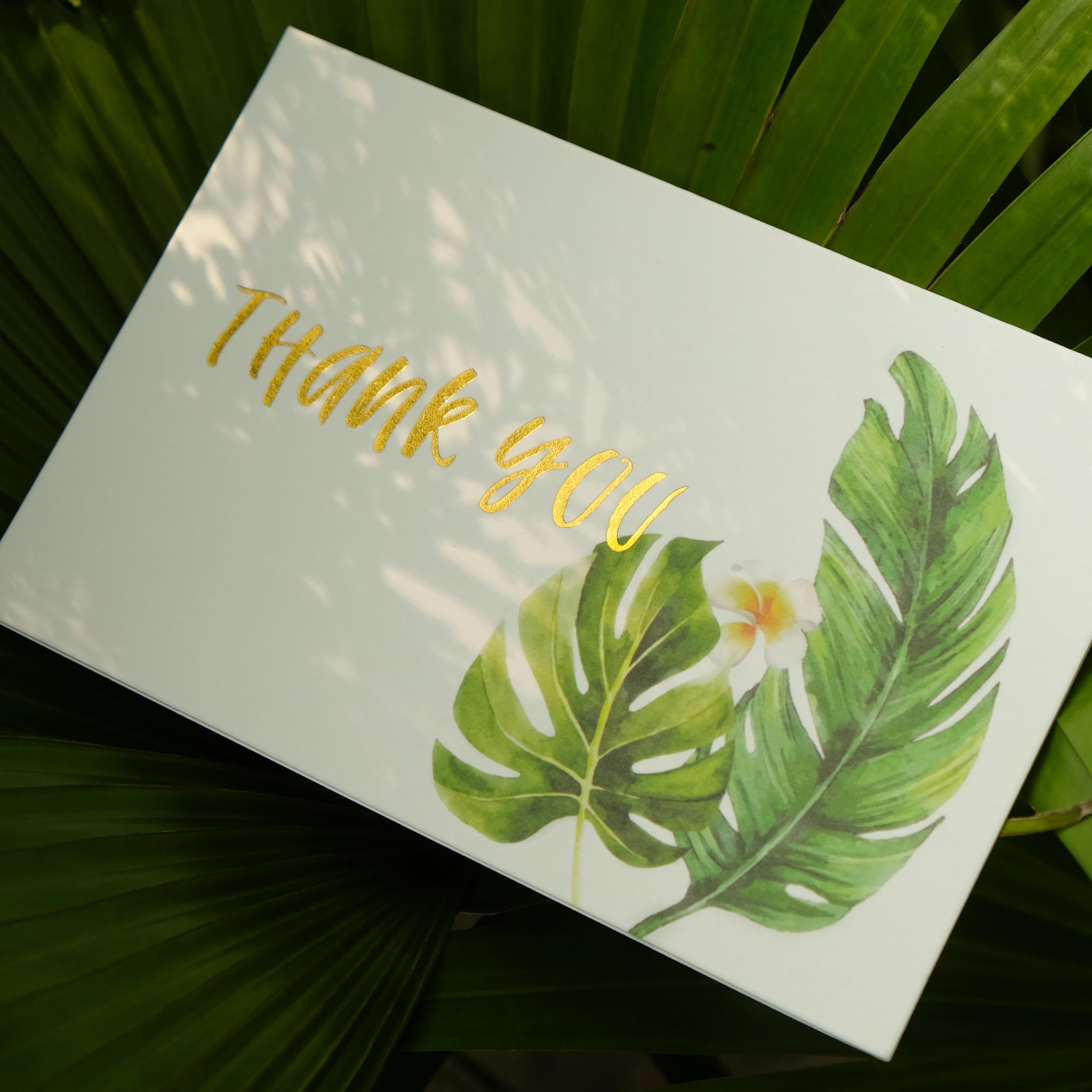 Crisky 4x6 Greenery 4 Assorted Thank You Cards with Envelopes (50 Pack) & Stickers Greeting Cards Bulk, tropical plants for Birthday, Baby Shower,Bridal Shower, Wedding, Graduation