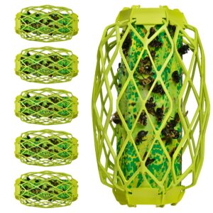 carpenter bee trap 6 pack