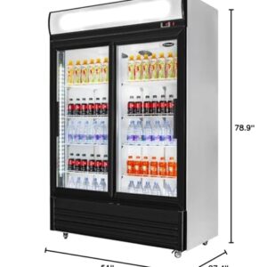 FRICOOL Merchandiser Refrigerator 2 Sliding Doors, 31 cu ft Beverage Display Cooler, Commercial Upright Fridge with LED Lighting, Adjustable Shelves for Displaying Beverages and Drinks, Black