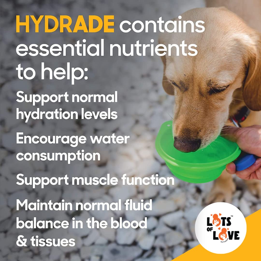 HydrADE Powder - Electrolytes for Dog & Cat Dehydration - Hydration for Dogs & Cats - Lots of Love Pet Products (8 Oz)