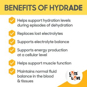 HydrADE Powder - Electrolytes for Dog & Cat Dehydration - Hydration for Dogs & Cats - Lots of Love Pet Products (8 Oz)