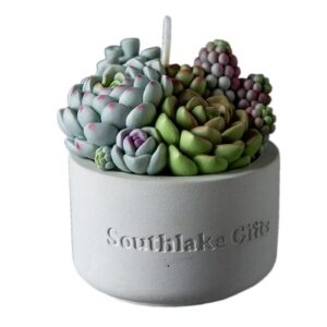 assorted succulent pot scented candle for spa home decoration wedding gift