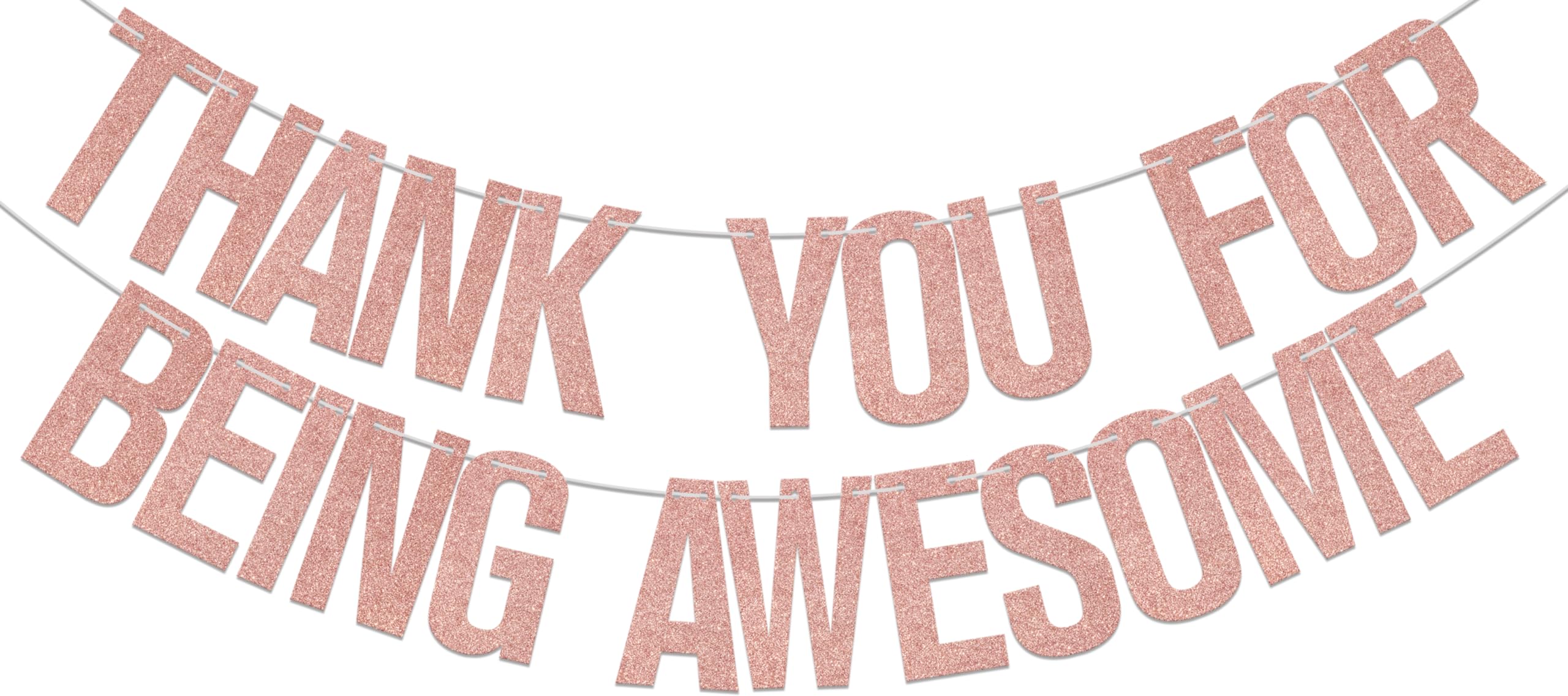 Thank You for Being Awesome Banner, 2024 Graduation Decorations, We Appreciate You, Friendship/Thank You Teacher/Birthday Retirement Farewell Going Away Party Supplies Rose Gold Glitter